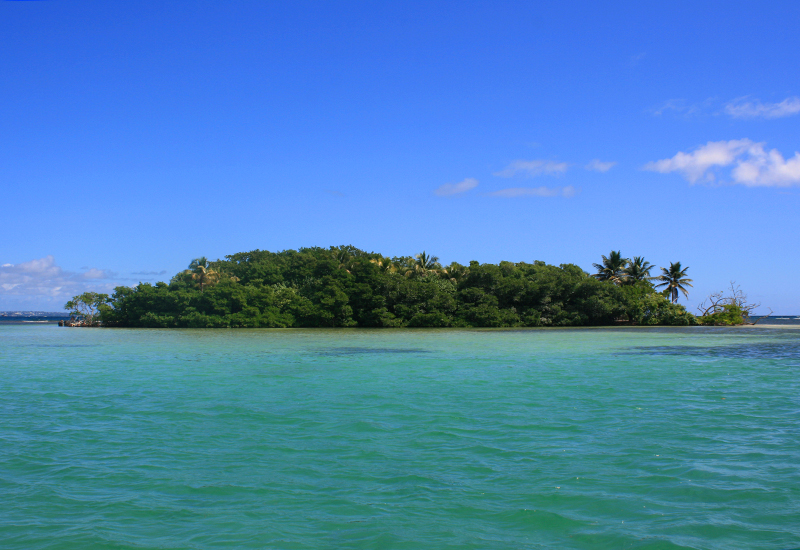 Petit Cul-de-Sac Marin - Petit-Bourg - Guadeloupe Tourisme